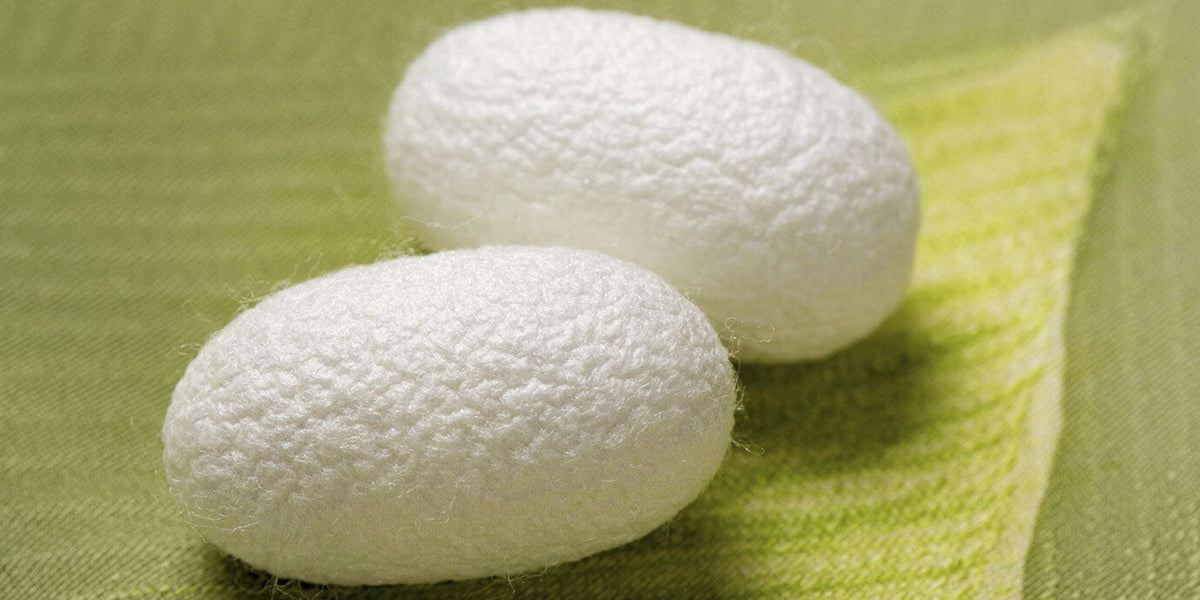 Seta Vaxess/Cosetex/T.Silk – T.SILK COLLECTION